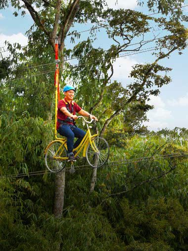 Home - Lido Adventure Park